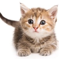 Vidéos de Sylvain MAUDUIT - Dailymotion