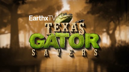 Texas Gator Savers Show | EarthX by EarthX - Dailymotion
