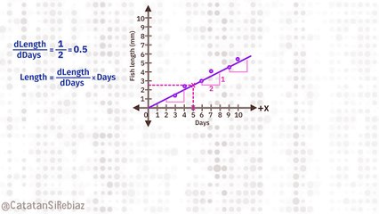 Artificial Neural Networks (ANN) by Rebiaz Studio - Dailymotion