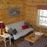 Roosters Rest videos - Dailymotion