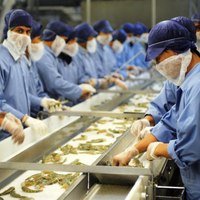 National Aquaculture Group (NAQUA) videos - Dailymotion