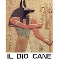 Video Il Dio Cane - Dailymotion
