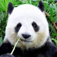 DOCTOR WHO videos - Dailymotion