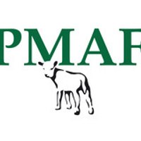 Vidéos de pmaf - Dailymotion