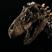 Science Documentaries Videos Dailymotion