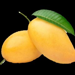 Mango Family videos - Dailymotion