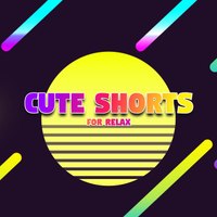 Видео Cute Shorts – Dailymotion