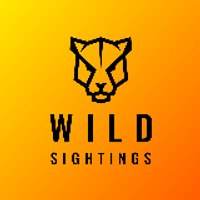 World Wild Web videos - Dailymotion