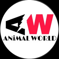 Animal World videos - Dailymotion