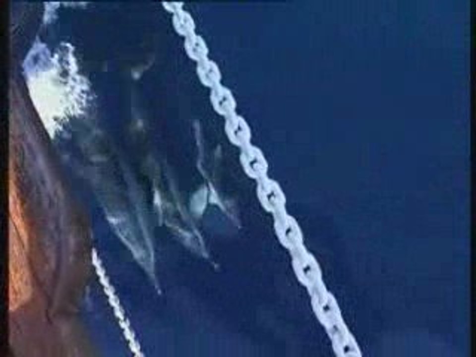 Εθνικο Θαλασσιο Παρκο Αλοννησου Βορειων Σποραδων - video Dailymotion