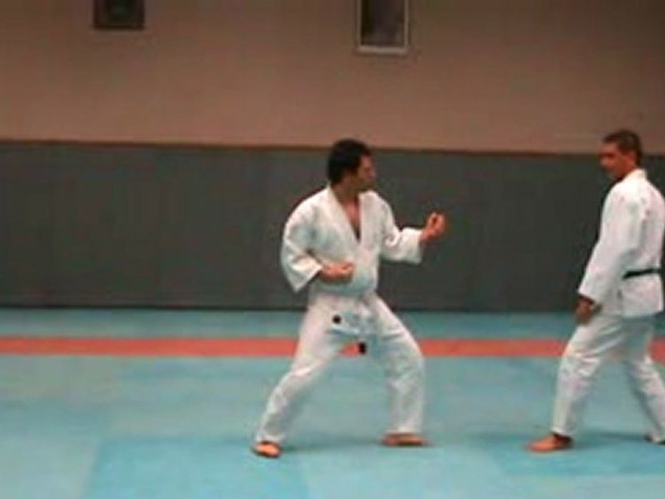 Mae geri - Vidéo Dailymotion