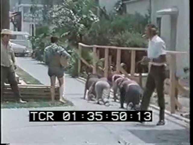 manson family by mike prokes - Dailymotion