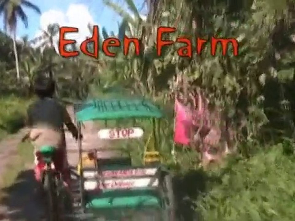 Eden Farm in 2008, Alang-alang, Leyte, Philippines. For sale - video ...