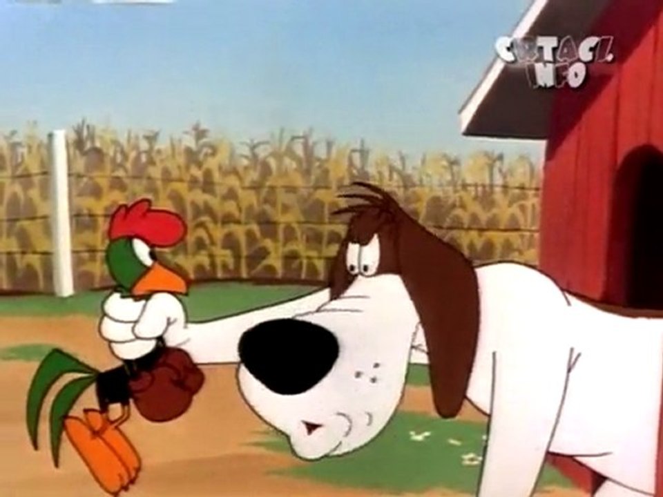 Sofronije - Gale bokser - video Dailymotion