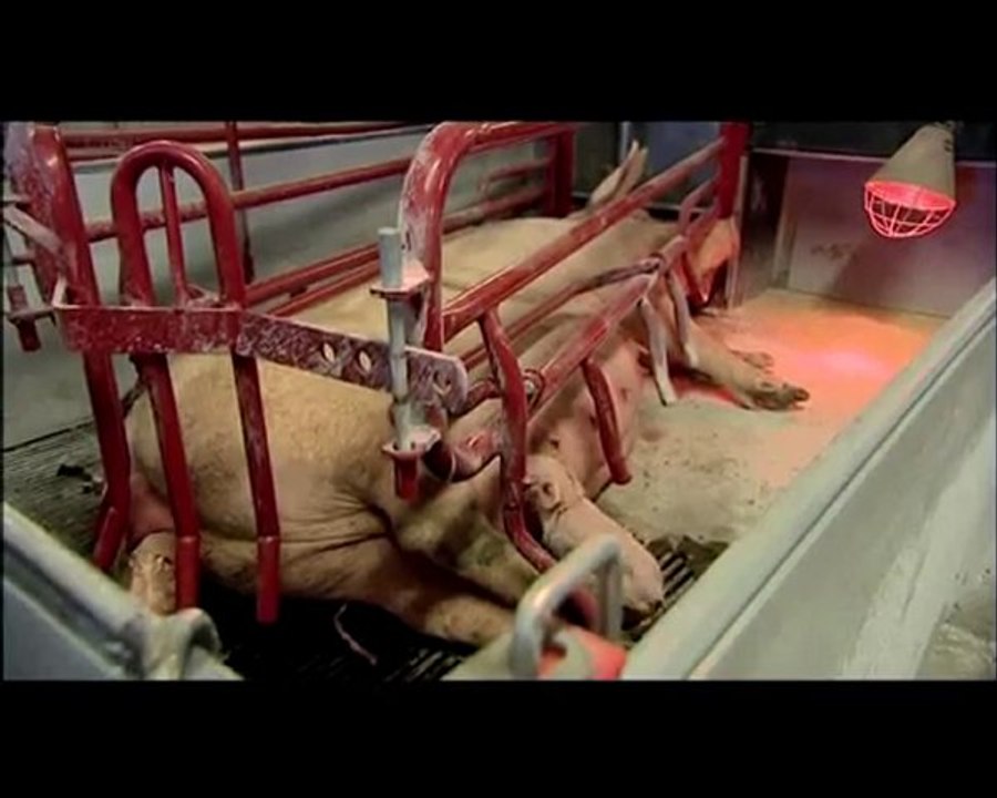 VTS_03_1 - video Dailymotion