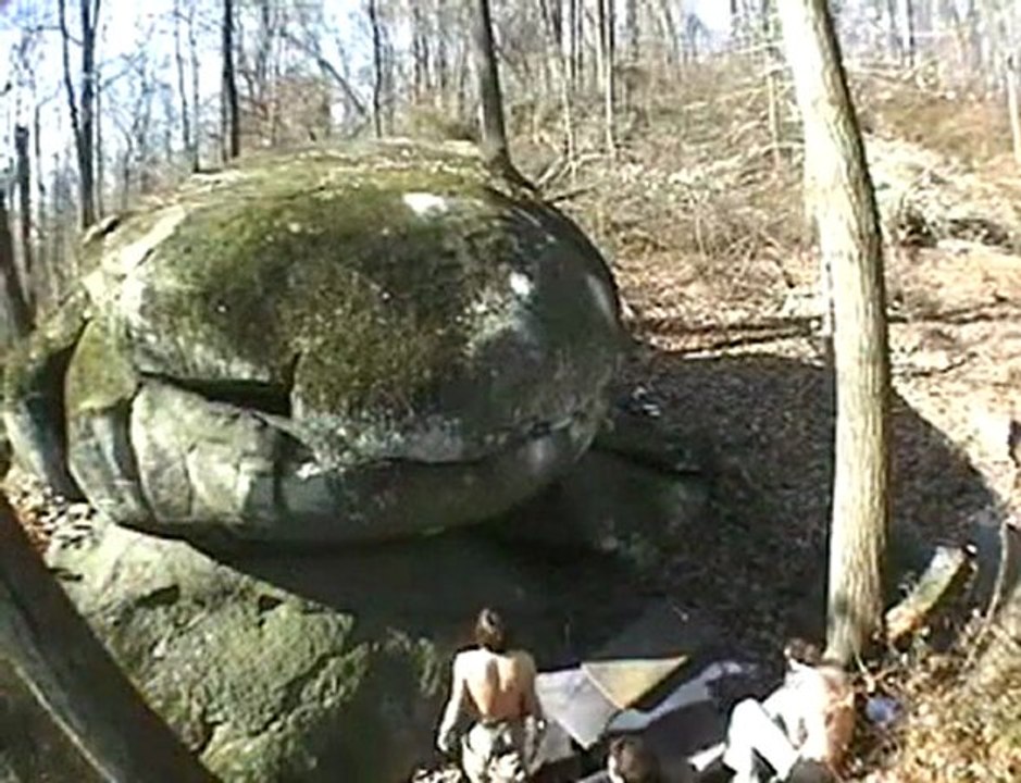 Bearded Clam - video Dailymotion