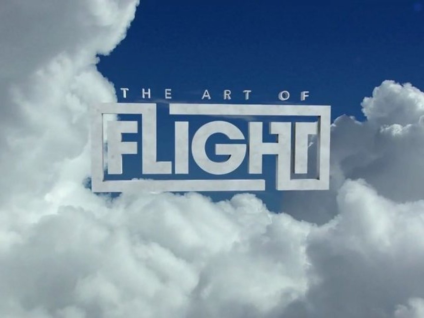 Art Of Flight