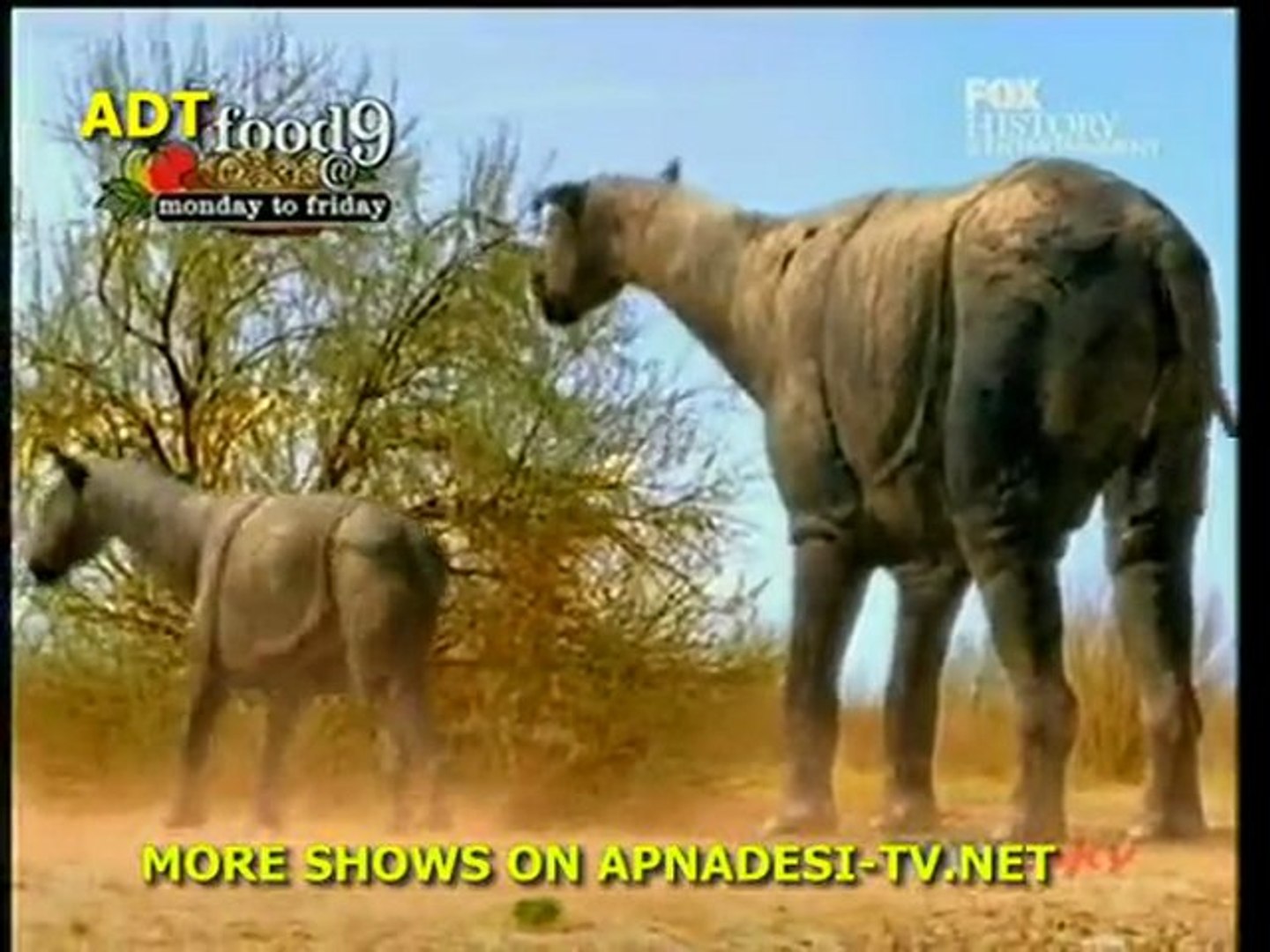 Walking With Beasts Indricotherium