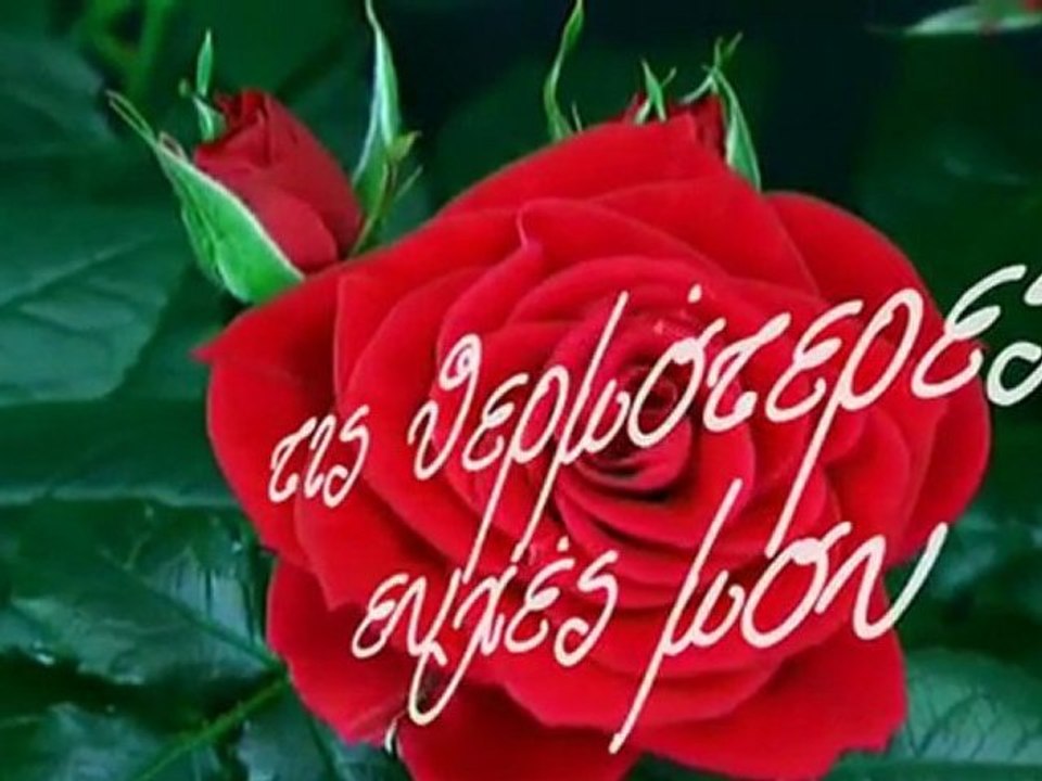 ΟΝΟΜΑΣΤΙΚΗ ΕΟΡΤΗ - video Dailymotion