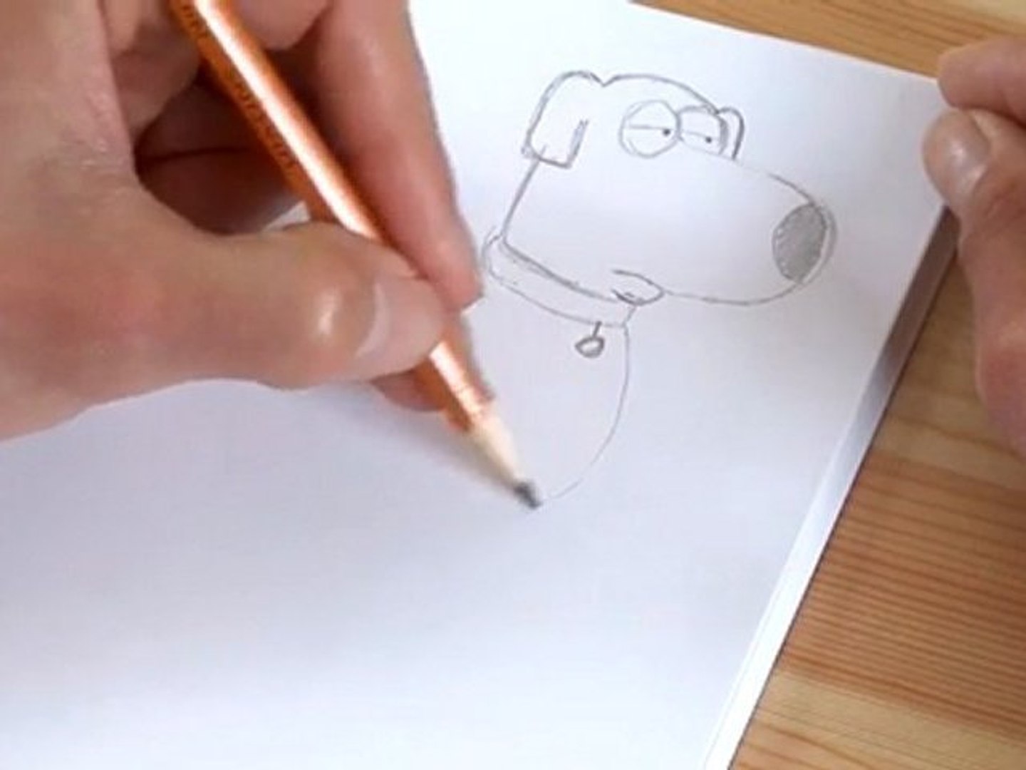 How To Draw Brian Griffin From Family Guy