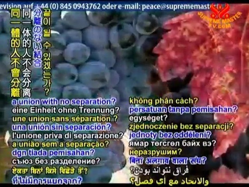 Sufism Fihi ma Fihi: Discourses of Rumi,Chapters 28-29 & 32 - video ...