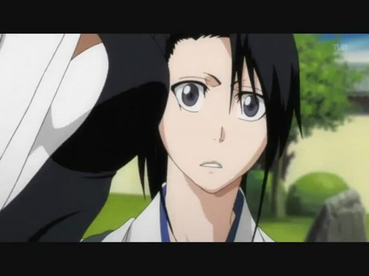 Bleach Yoruichi And Byakuya