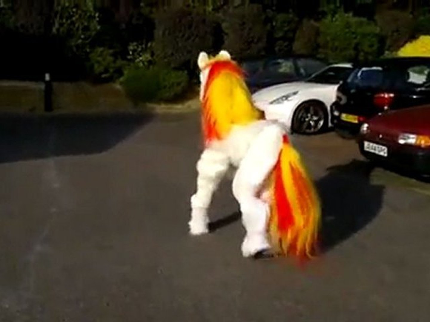 Pony Quadsuit