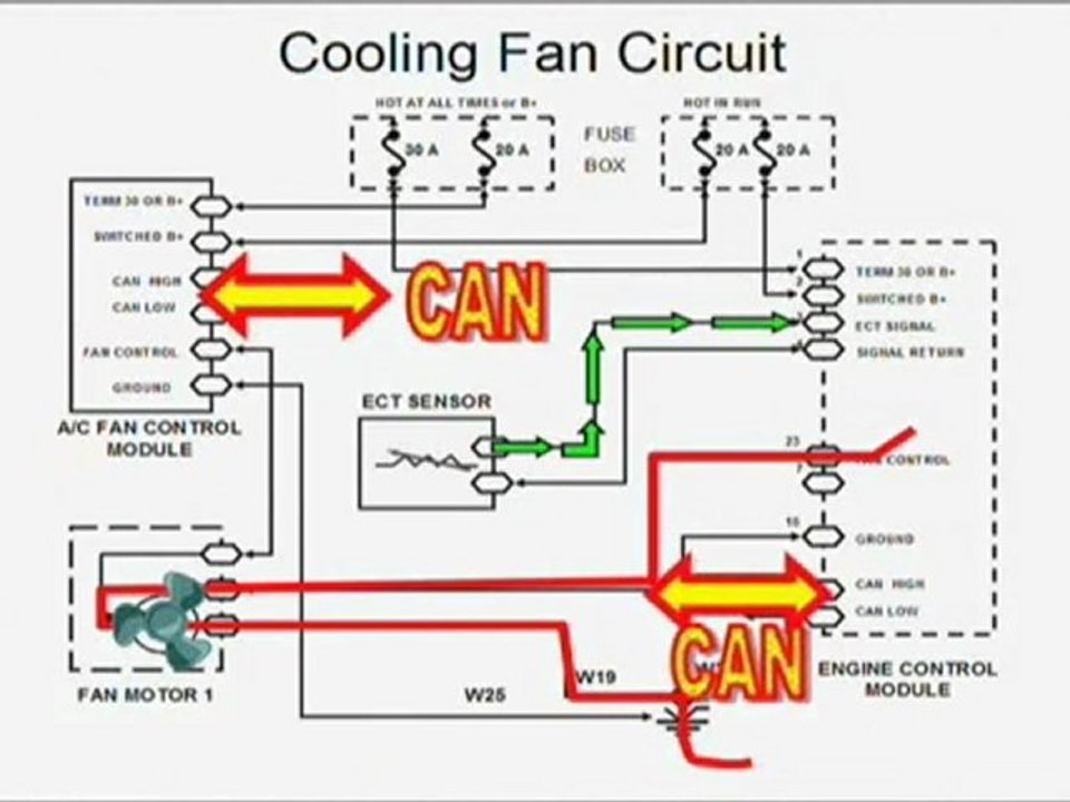 Engine Cooling Fan Wiring Diagram