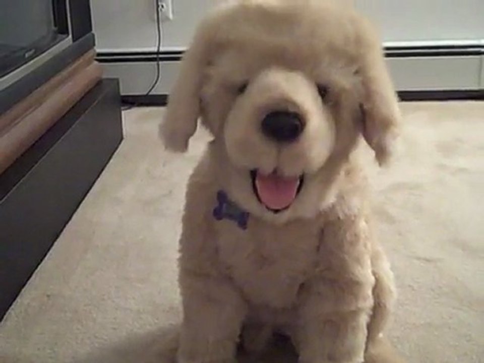 Fur Real Friends Biscuit My Lovin Pup - video Dailymotion