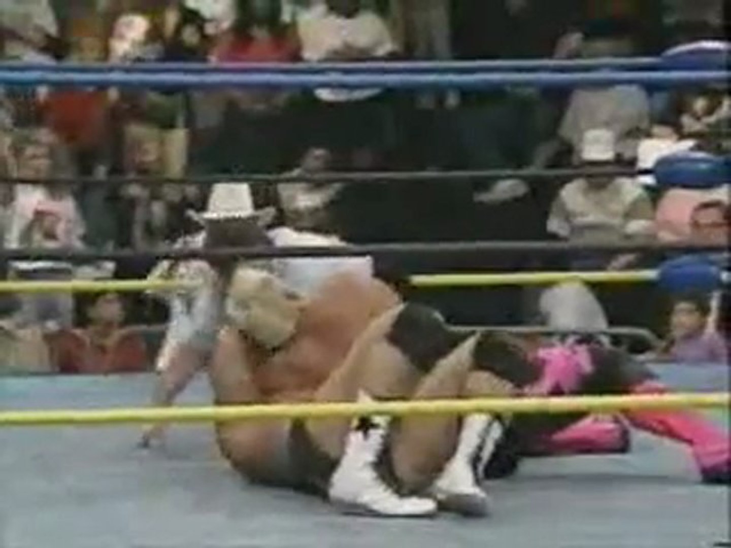 Wcw Sting 1994