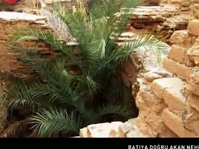 NAZIM UZUN videoları - Dailymotion