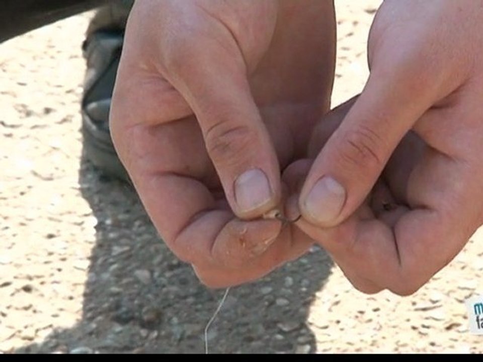 Comment fixer l'appât à l'hameçon pêche - Vidéo Dailymotion