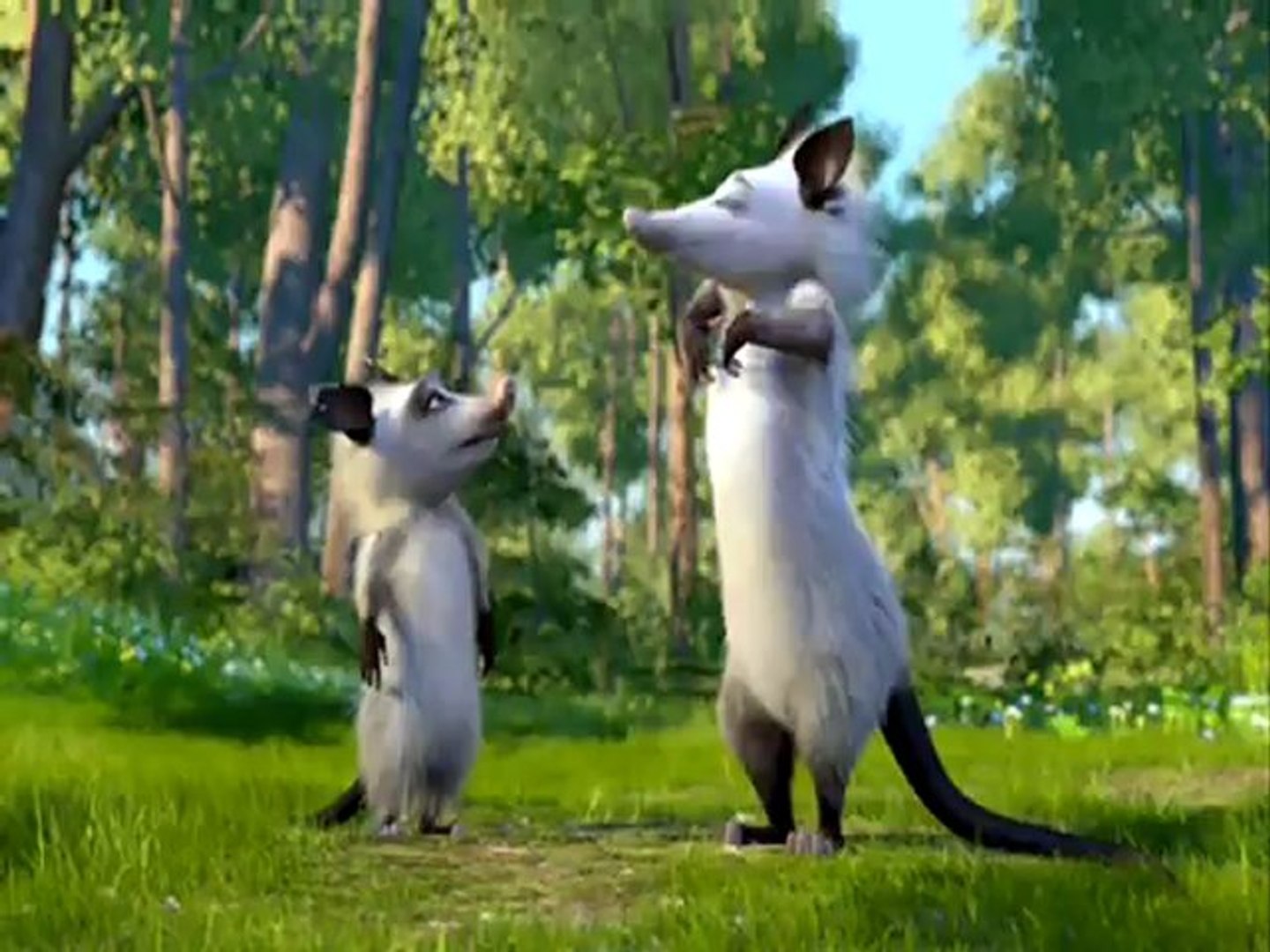 Over The Hedge Movie