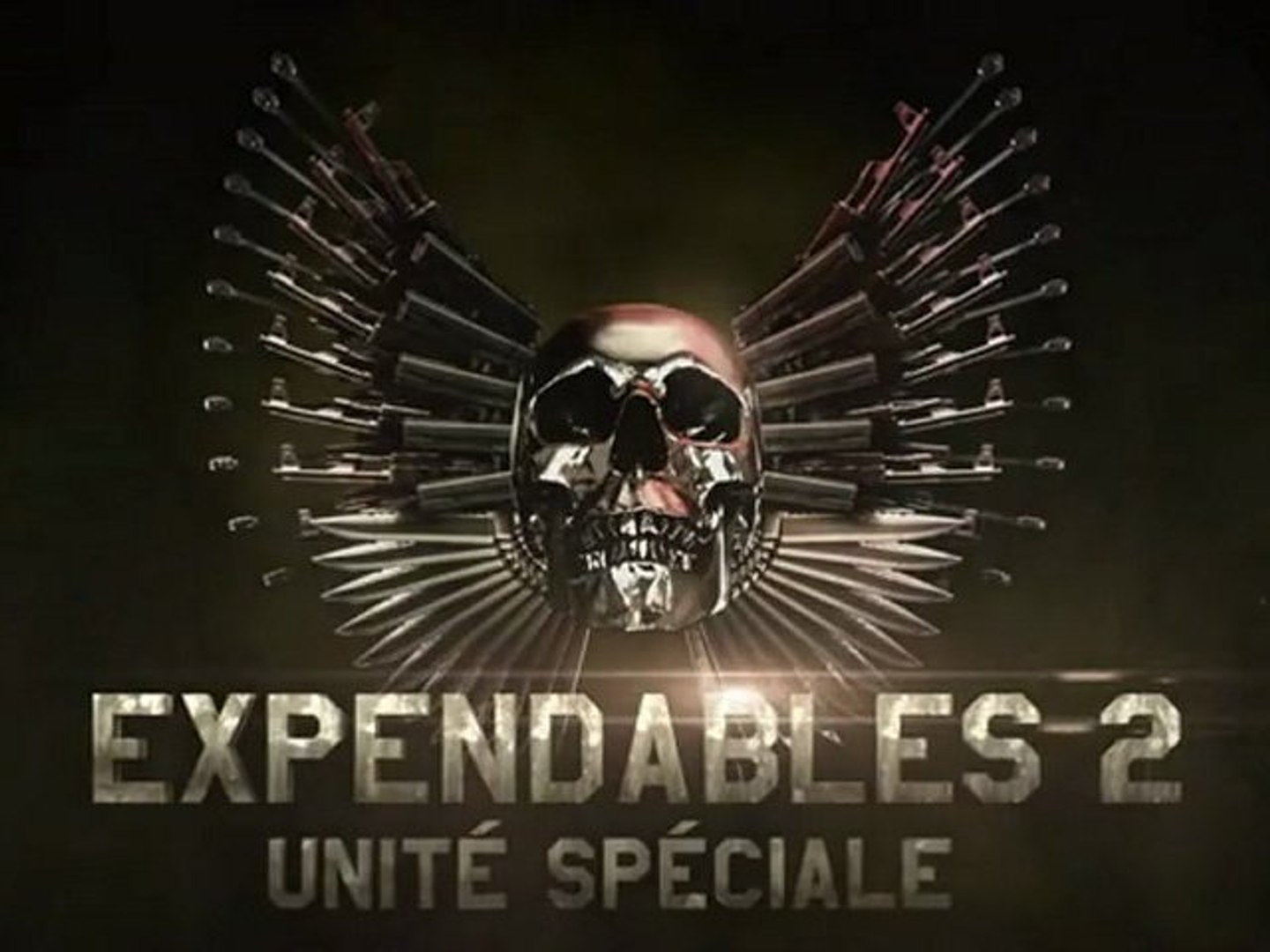 Le Logo Des Expendables 2 Avec Le Crâne