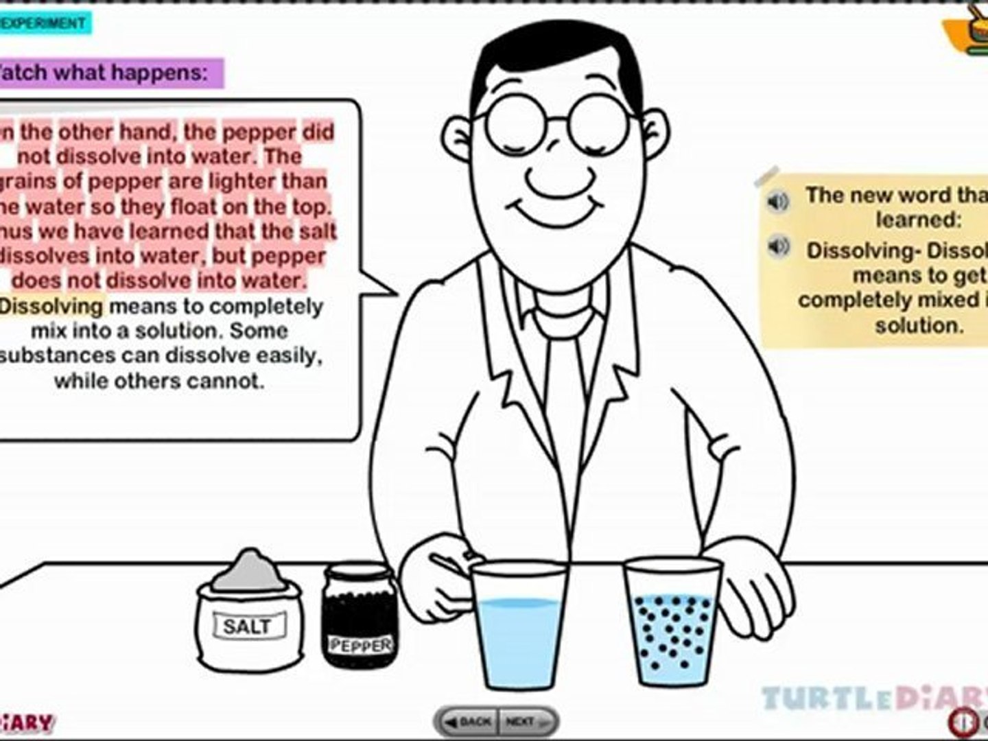 Dissolving Salt In Water Experiment