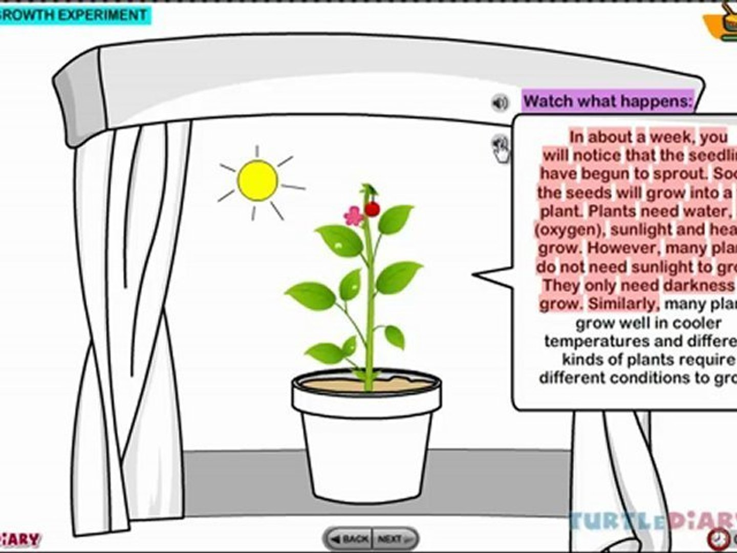 Plant Growth Experiment Ideas