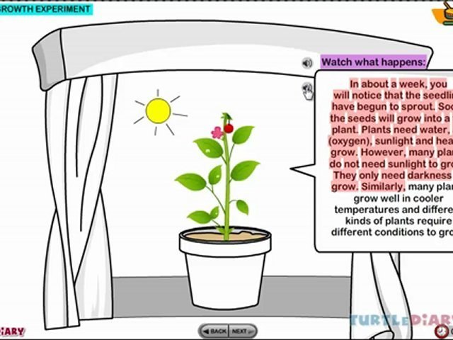 Plant Growing Experiments Pot Experiment On The Effect Of V1 On The