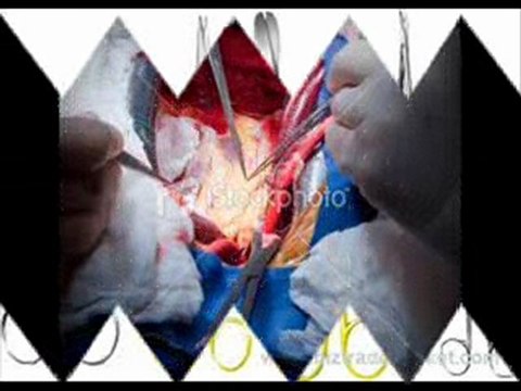 starletwooledge videos - Dailymotion