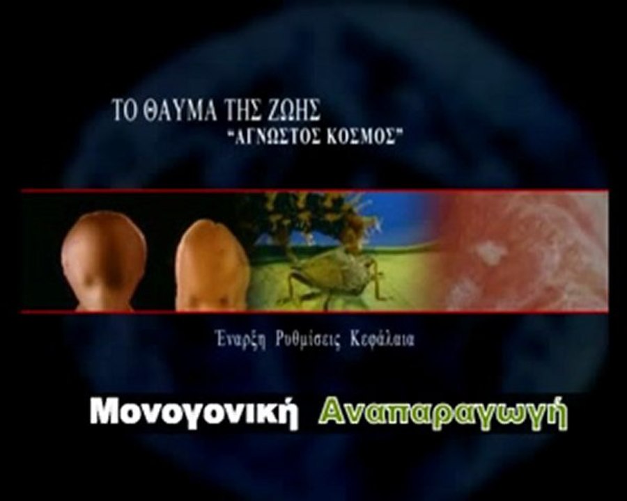 ΜΟΝΟΓΟΝΙΑ ΣΤΑ ΒΑΚΤΗΡΙΑ (ΔΙΧΟΤΟΜΗΣΗ) - video Dailymotion