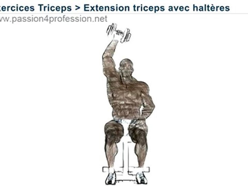 Extension triceps avec haltères - Vidéo Dailymotion