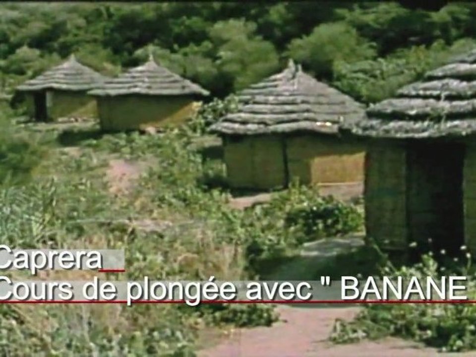 CLUB MED - CAPRERA - Plongée sous-marine avec Banane - Vidéo Dailymotion