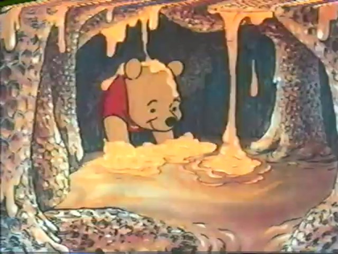 The Many Adventures Of Winnie The Pooh Vhs