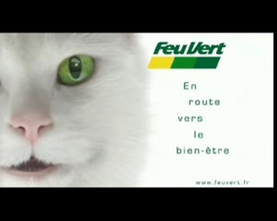 Chat pub feu vert 4 saisons - Vidéo Dailymotion