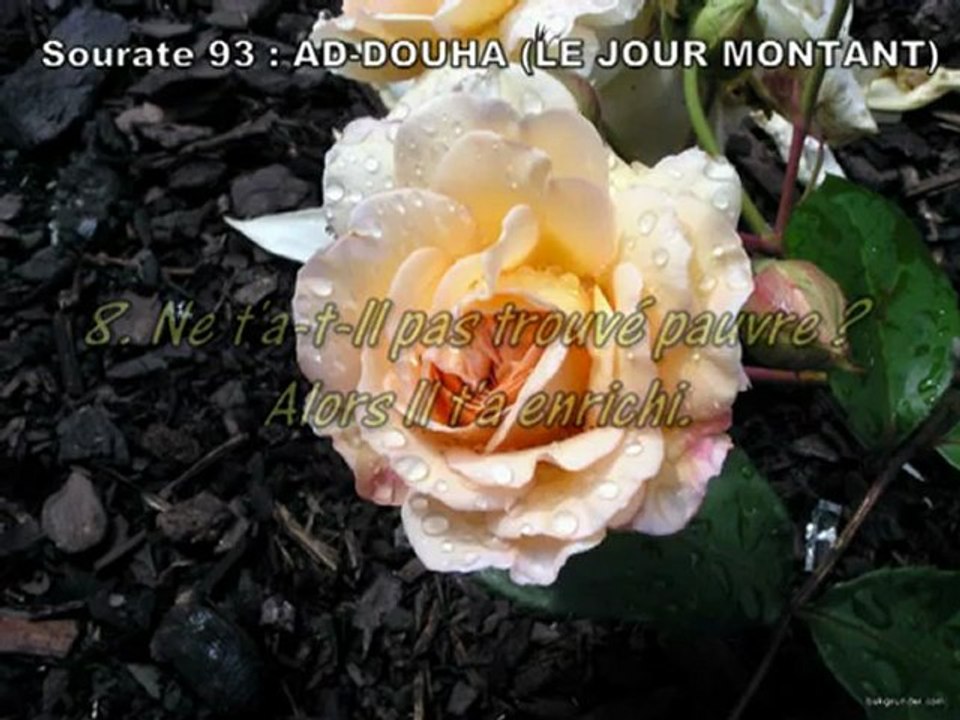Sourate Ad-Doha (Le jour montant) Abdelbasset Abdessamad La - Vidéo ...