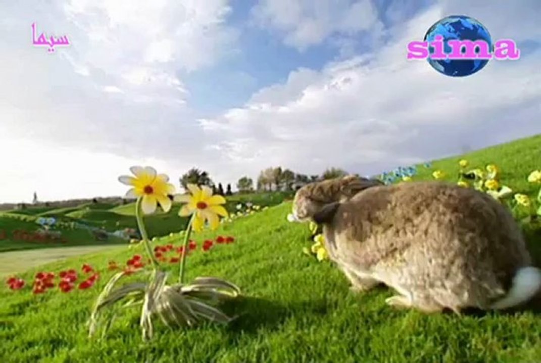 Teletubbies full episode The Helicopter - video Dailymotion