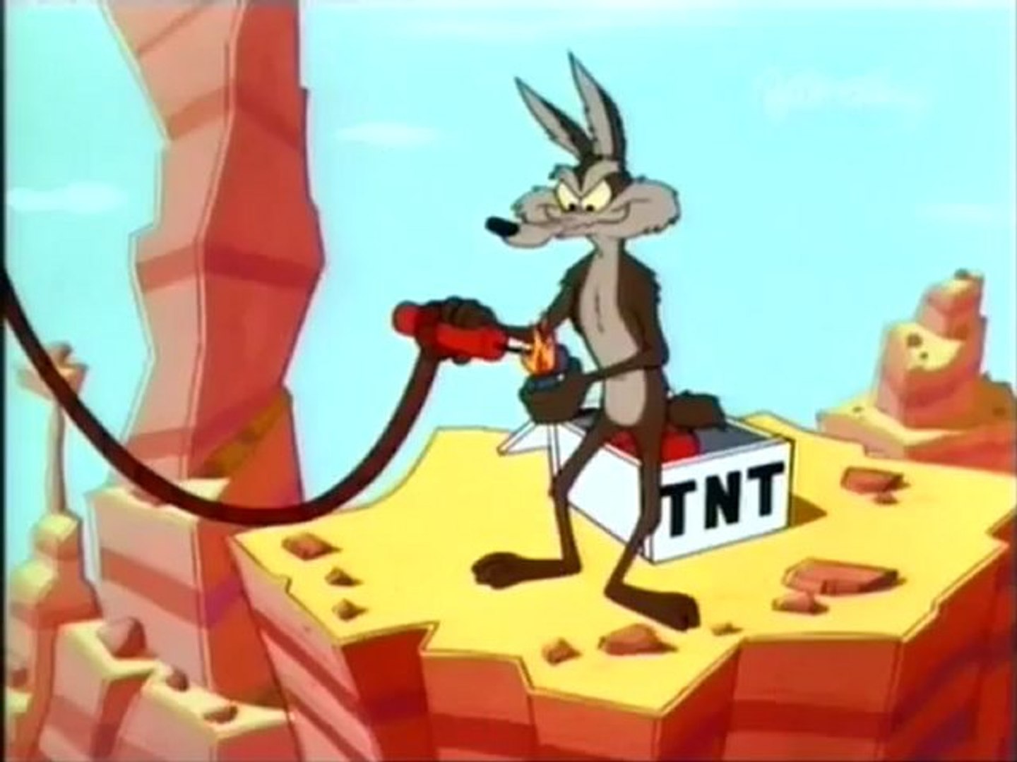 Road Runner Coyote Tnt