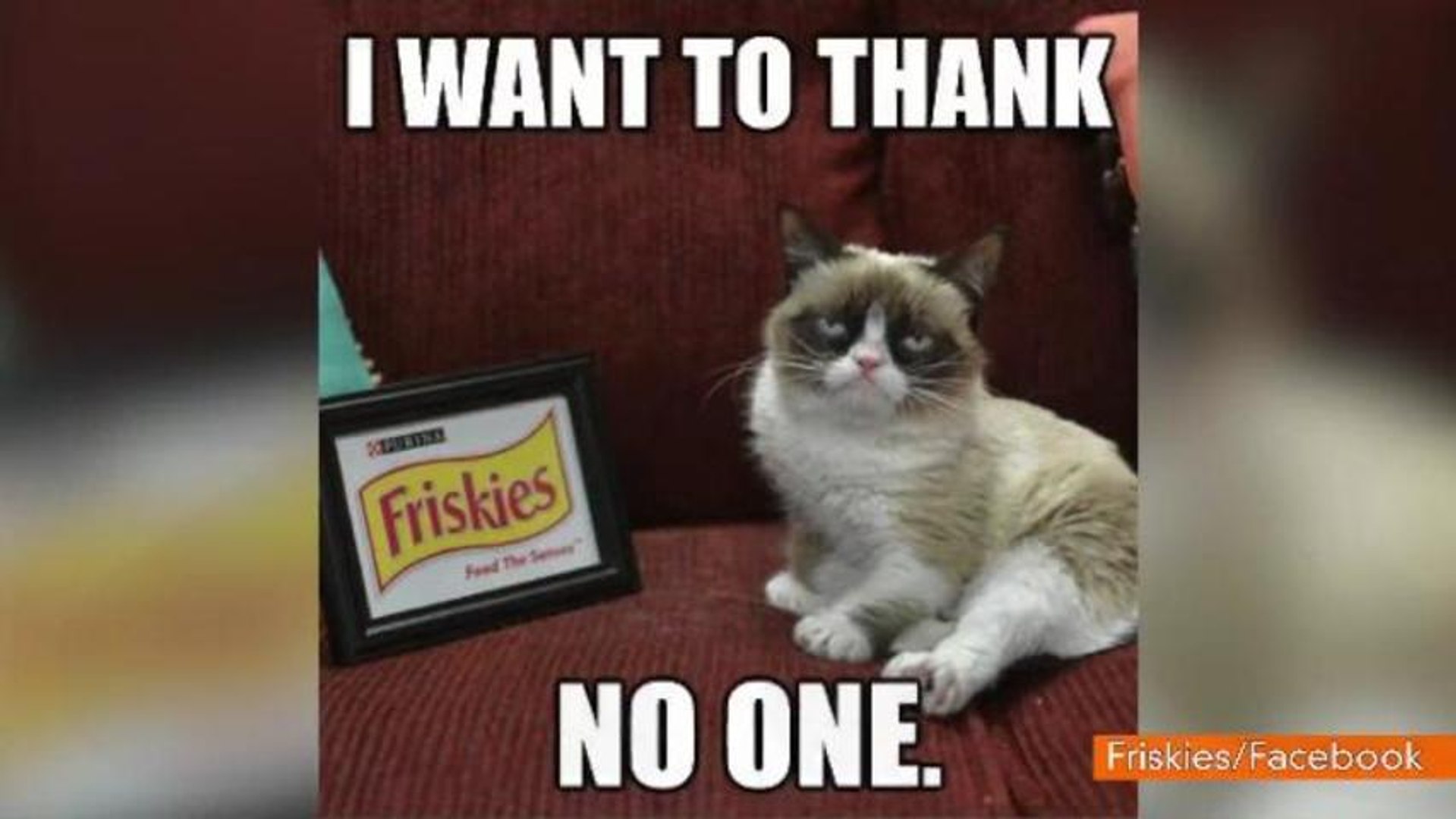 Thank You Grumpy Cat