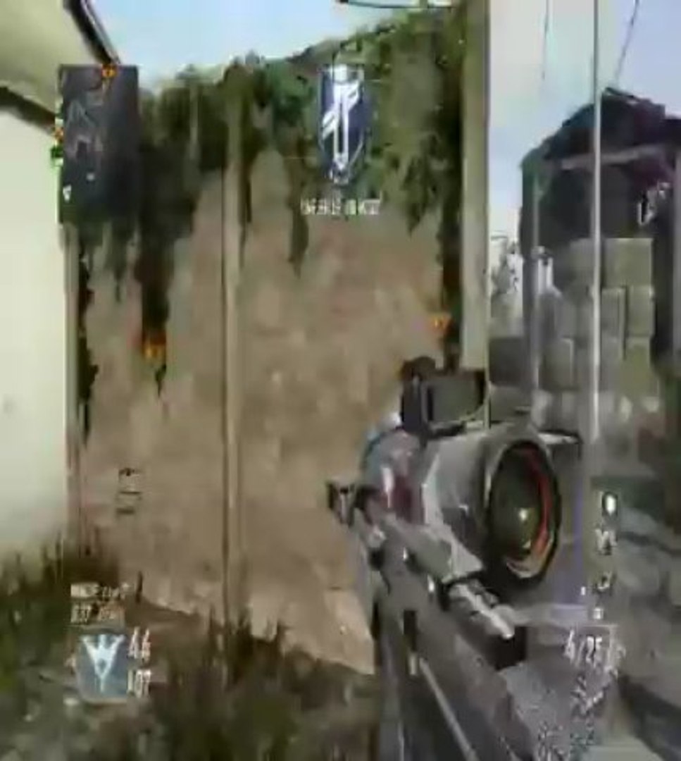 Call Of Duty Black Ops 2 Dsr 50 Diamond