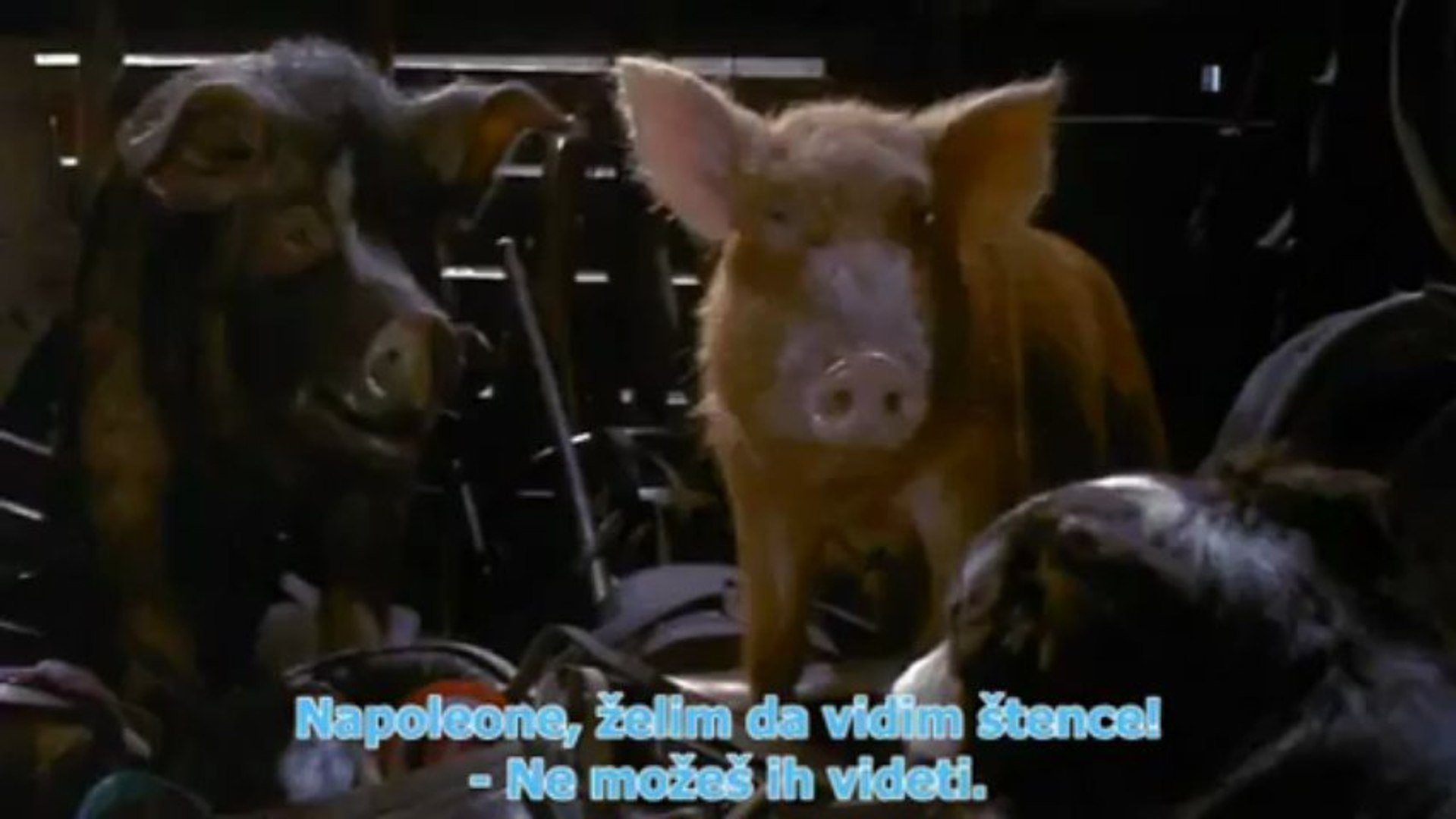 Animal Farm Movie 1999