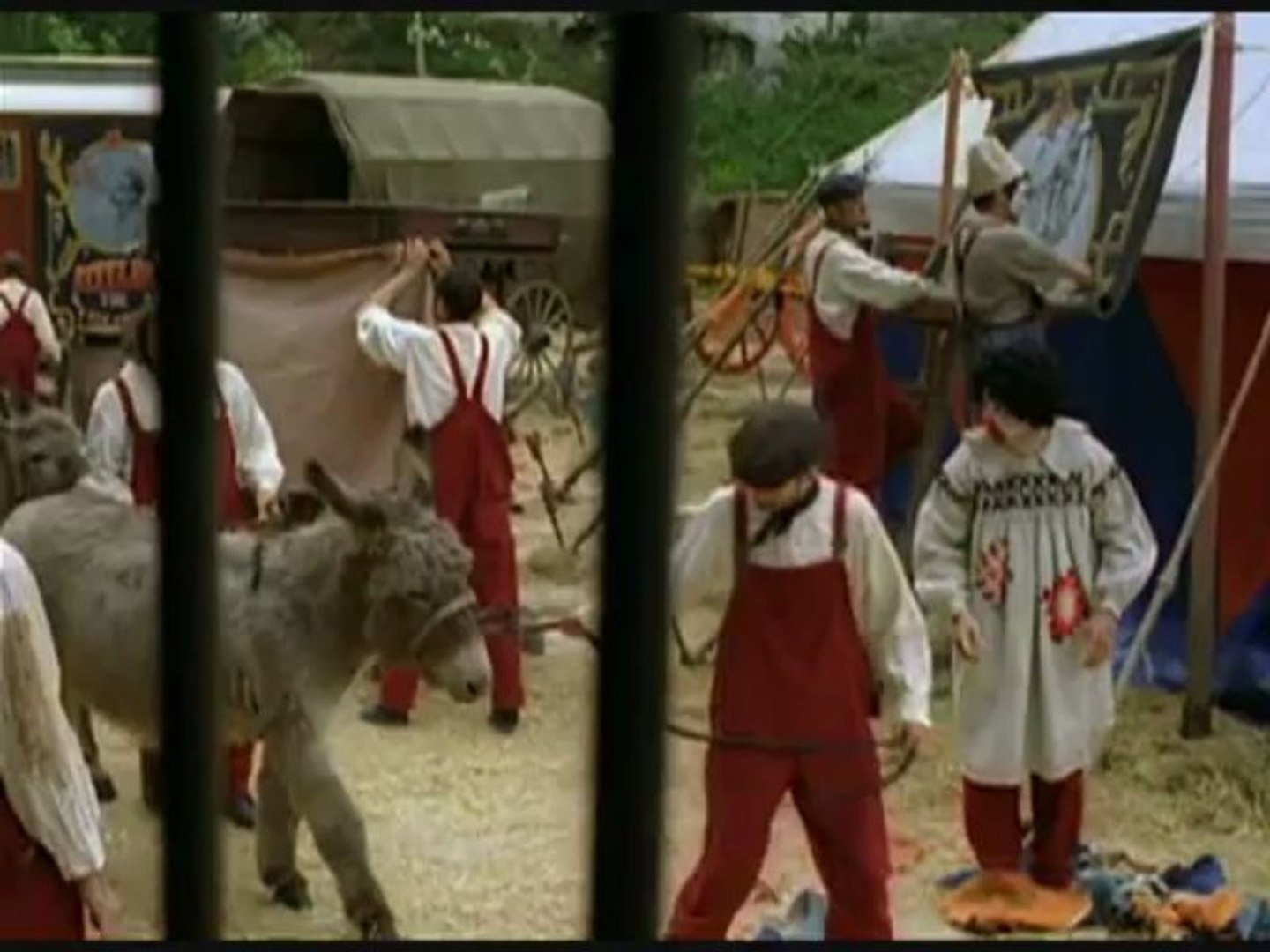 The Adventures Of Pinocchio Donkey